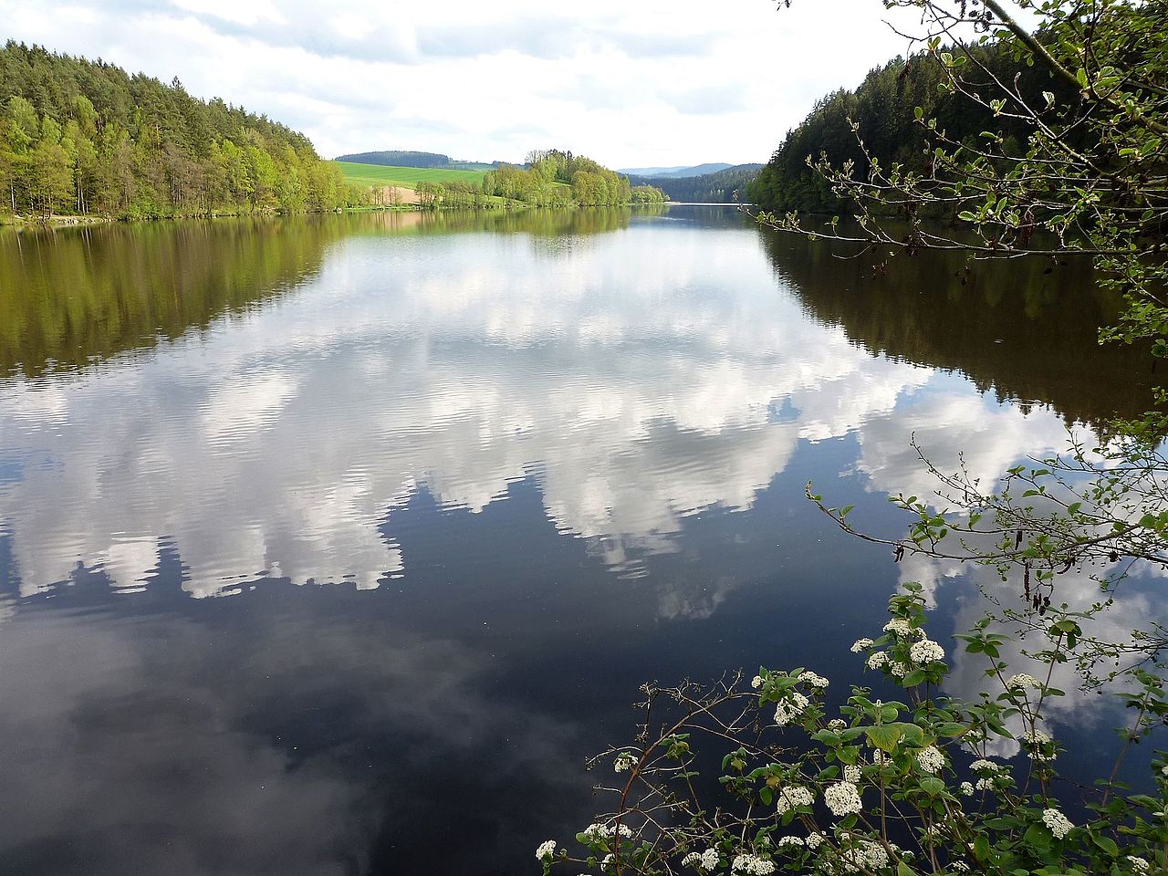 Blaibacher See Rundwanderung (Bayerischer Wald) | GPS Wanderatlas