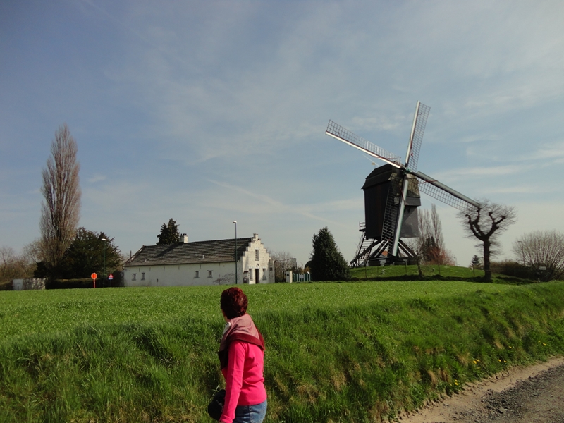 Unterwegs bei Roosdaal im Pajottenland (Belgien) | GPS Wanderatlas
