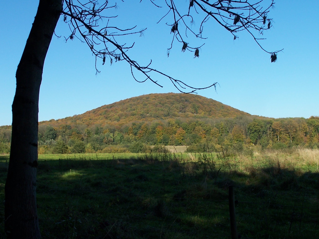 Die fünf schönsten Rundwanderungen bei Wirges (Westerwald) | GPS ...