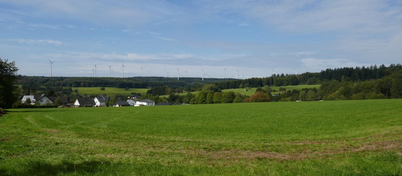 Steinebach an der Wied, Steinebacher Skulpturenpark, Steinebacher Ruine ...