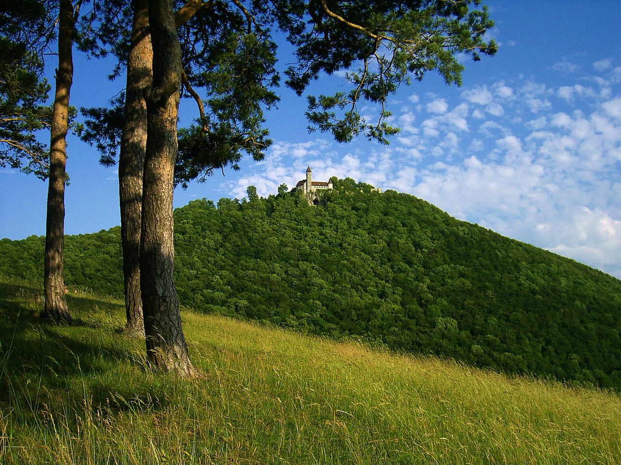 Burg Teck Rundwanderung (durchs Naturschutzgebiet Teck) | GPS Wanderatlas