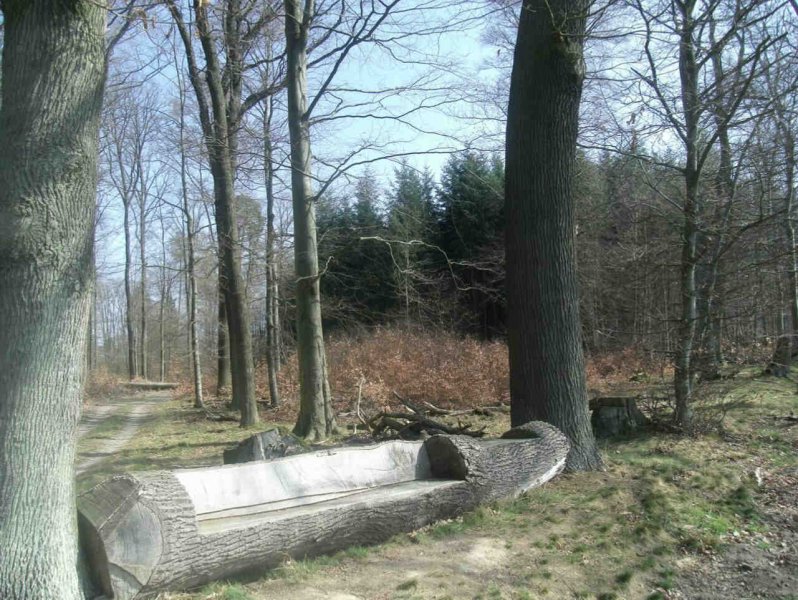 Über den Wanderweg O2 – Rund um den Kuhgraben – bei Oberselters (Taunus ...