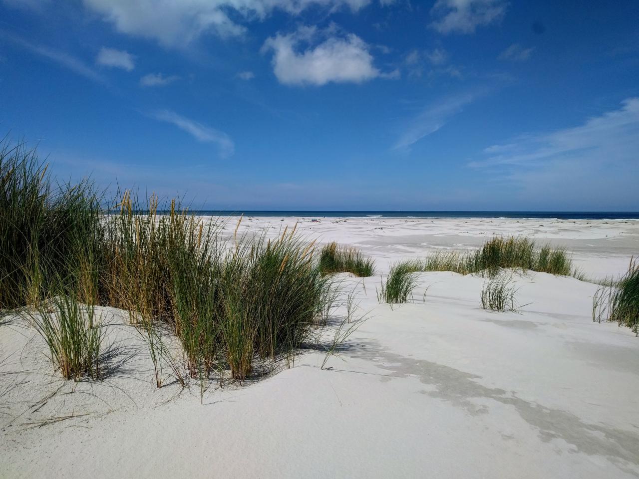 Ameland 3 Nes und Strand | GPS Wanderatlas