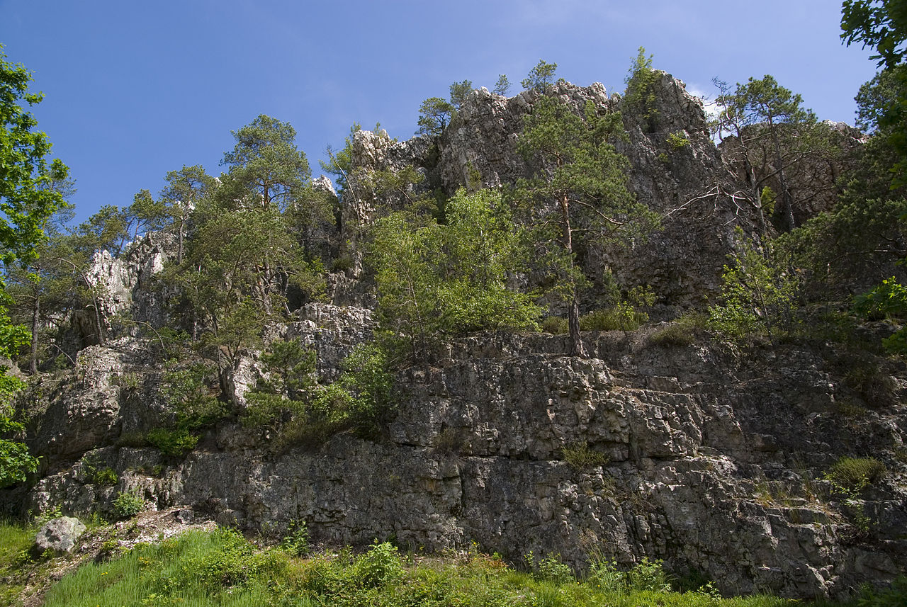Großer-Pfahl-Rundwanderung (Viechtach im Bayerischen Wald) | GPS ...