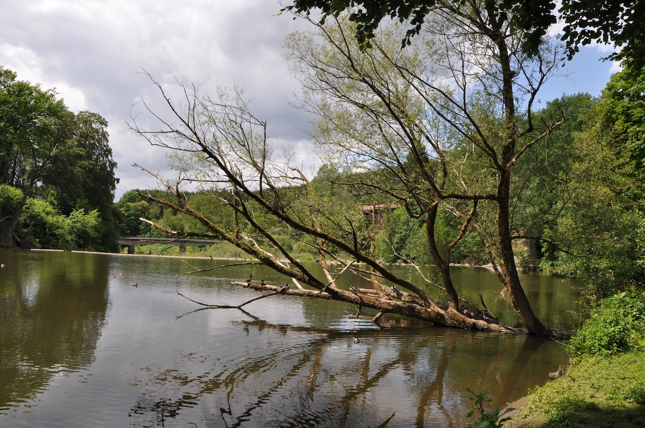 Erlebniswege Sieg: Mäanderweg | GPS Wanderatlas