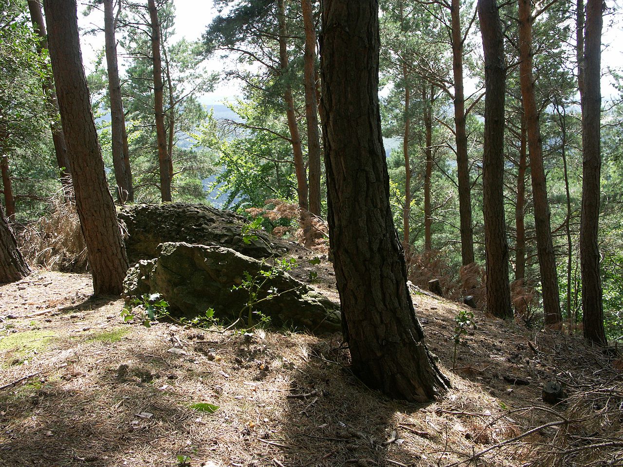 Heinrich-Böll-Weg (Hürtgenwald) | GPS Wanderatlas
