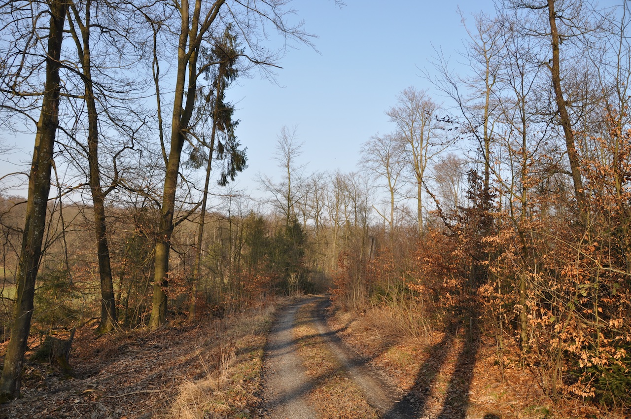 Balver Wald | GPS Wanderatlas