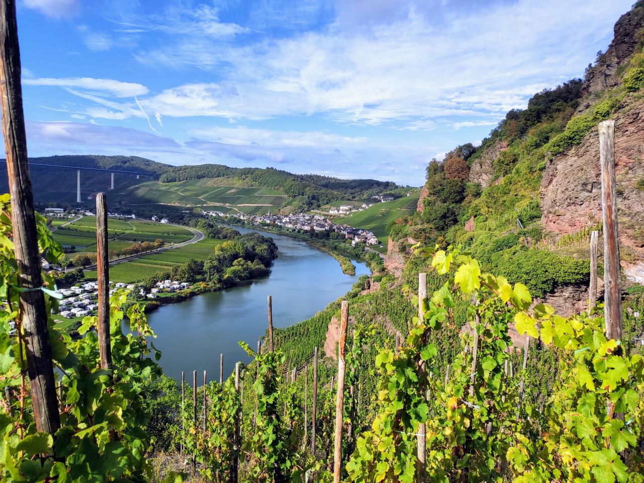 Rundwanderung zwischen Ürzig und Lösnich (Mosel) | GPS Wanderatlas