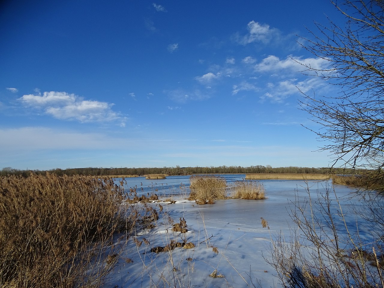 Echinger Stausee und Schloss Kronwinkl Rundwanderung | GPS Wanderatlas