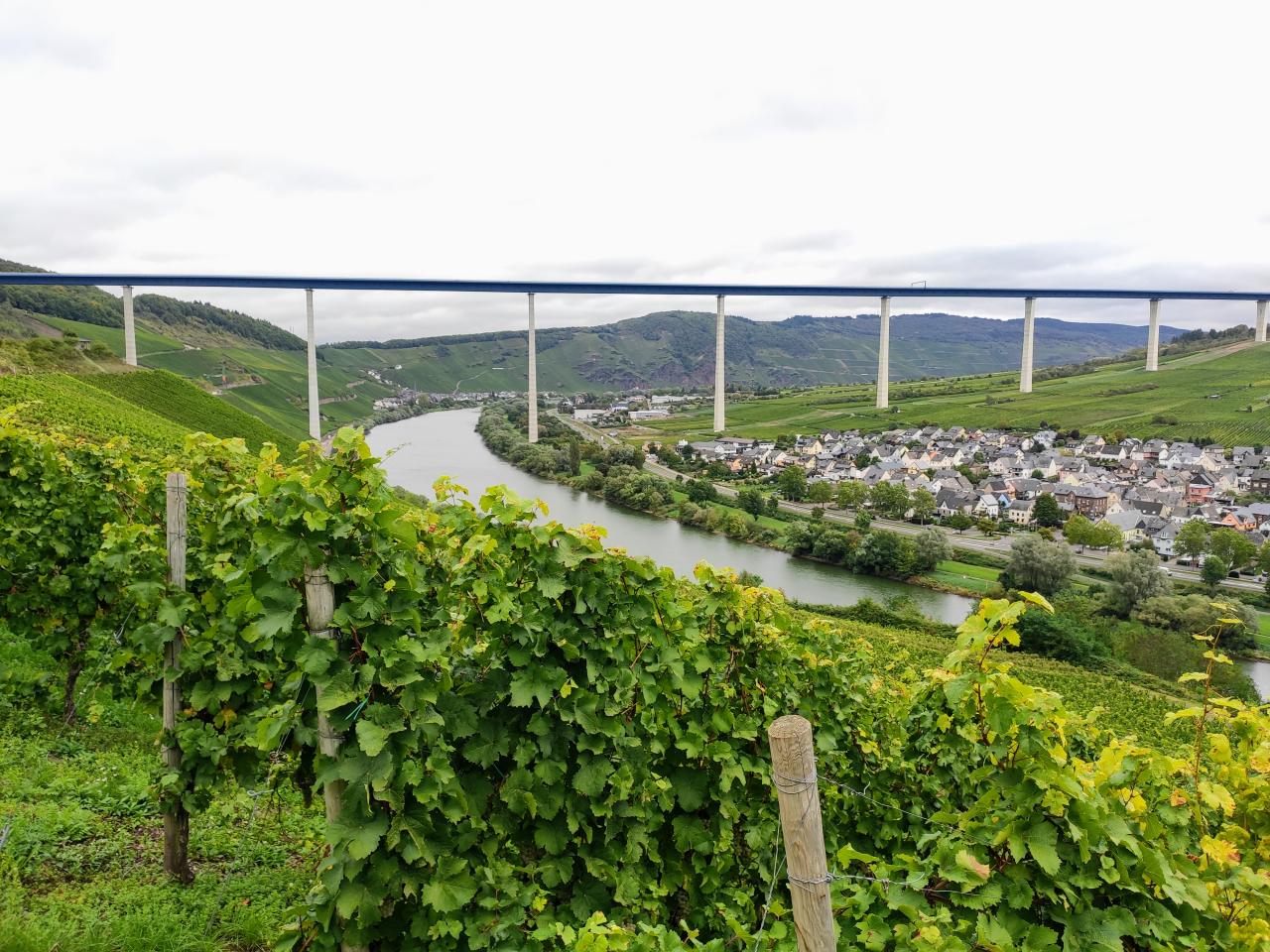 Durch die Weinlagen der Mosel von Ürzig zum Kloster Machern | GPS ...