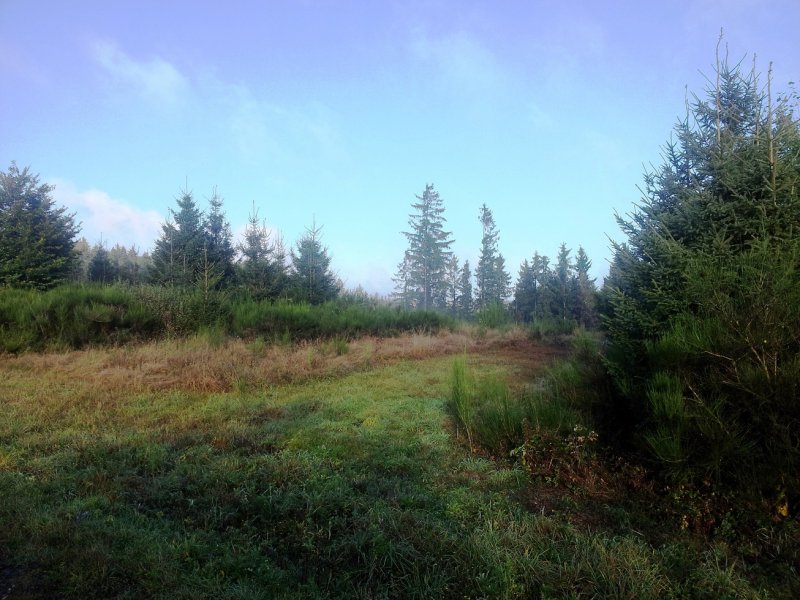 Eifel-Rundweg Hellenthal - Wildgehege - Oleftalsperre | GPS Wanderatlas