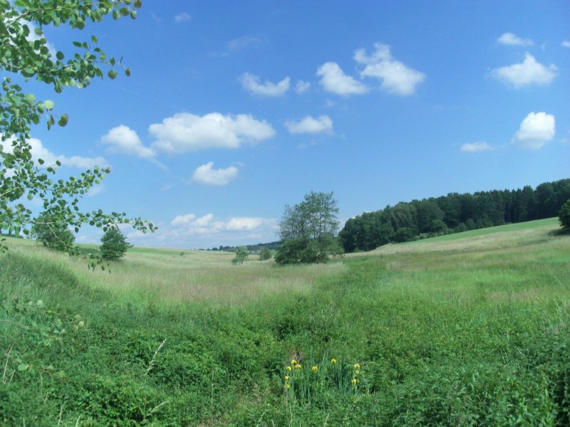 Von Helmenzen durch das Ölferbachtal (Altenkirchener Westerwald) | GPS ...