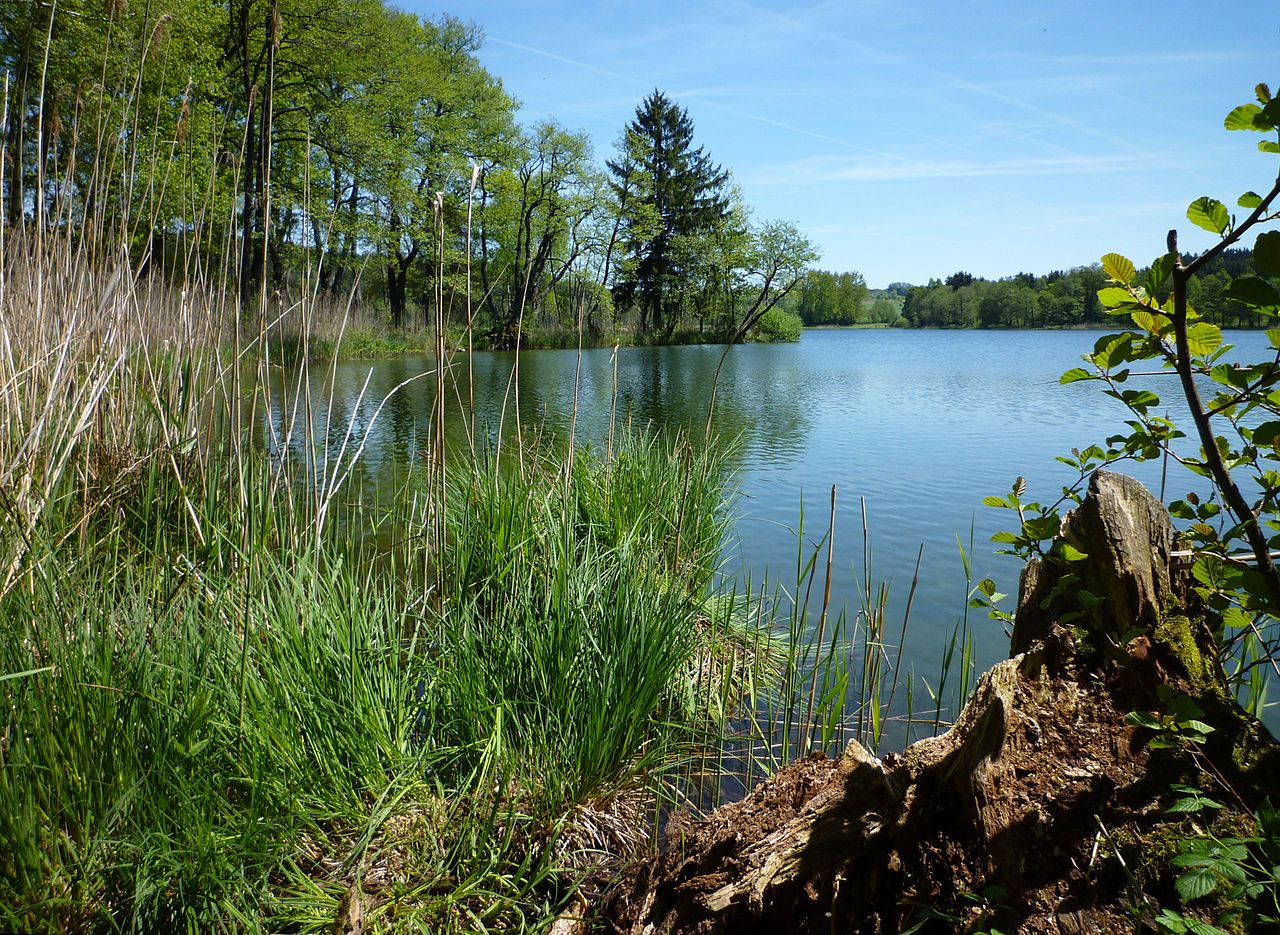 Drei-Seen-Tour Illmensee | GPS Wanderatlas