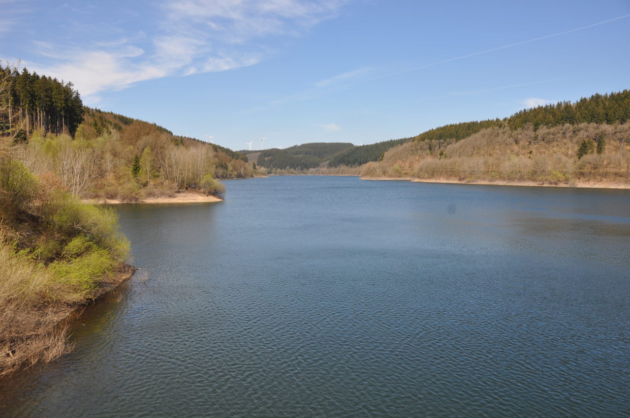 Rund um die Oleftalsperre im Hellenthaler Wald (Rur-Eifel) | GPS Wanderatlas
