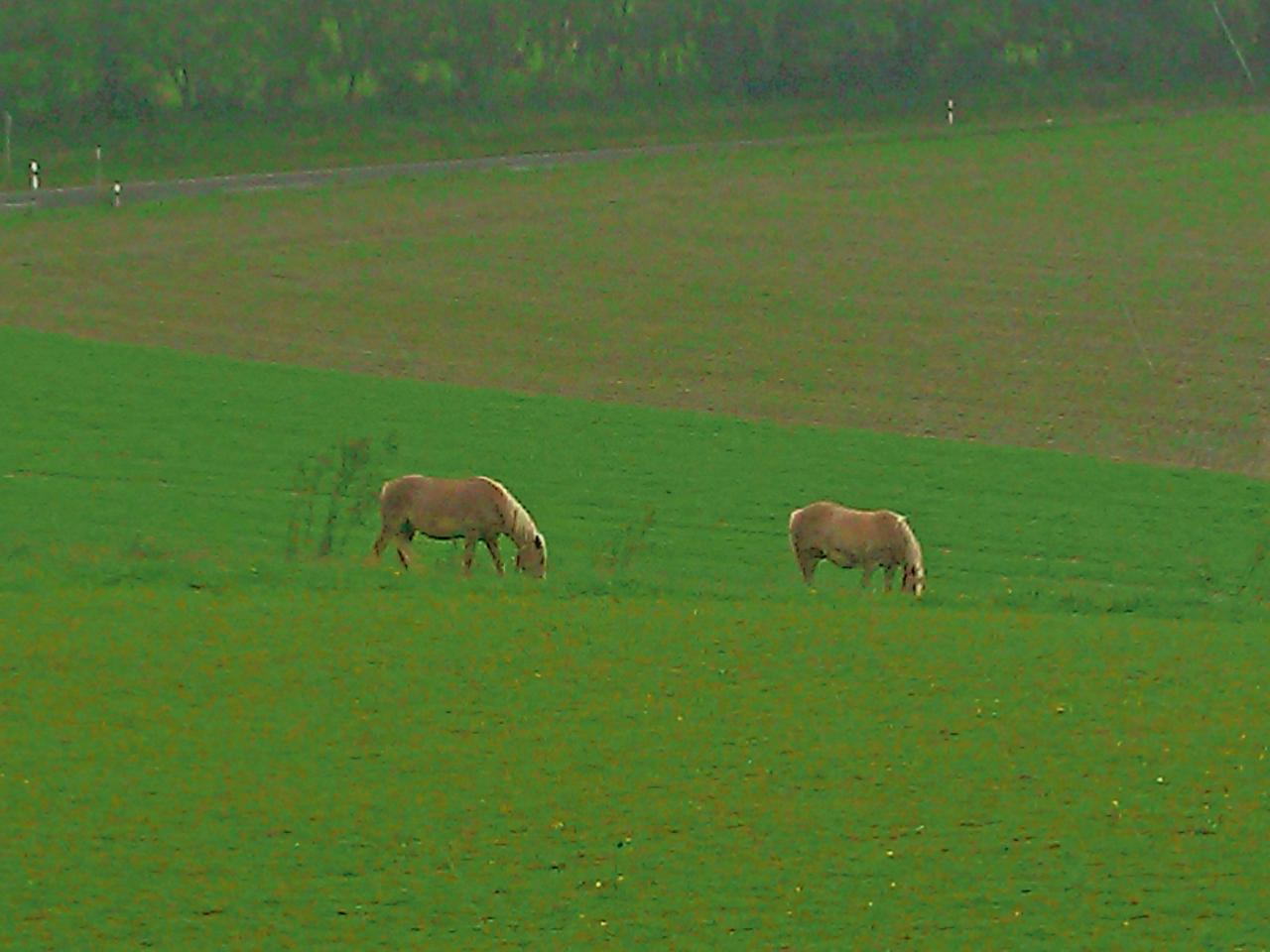 Lenne Höhenwanderung Etappe 2 Letmathe Altena | GPS Wanderatlas
