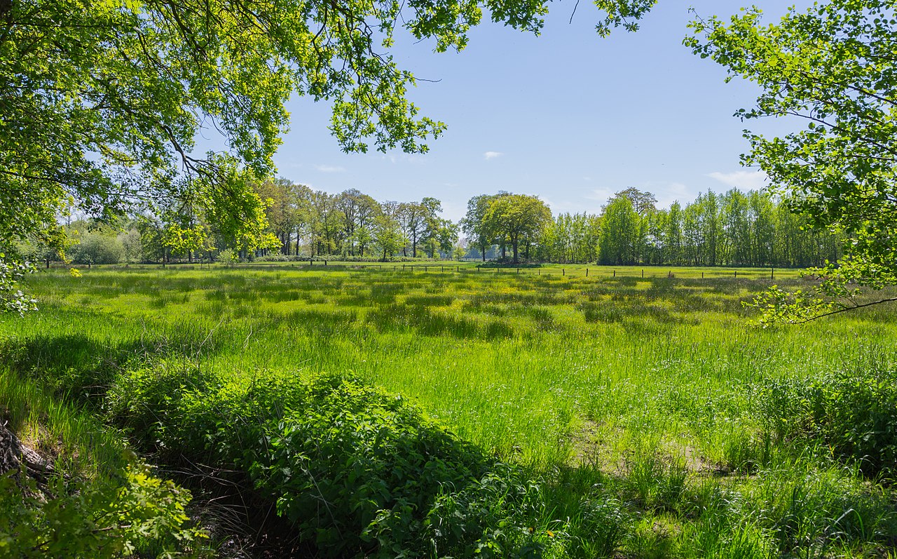 Max-Clemens-Kanal-Wanderweg (von Münster nach Wettringen) | GPS Wanderatlas