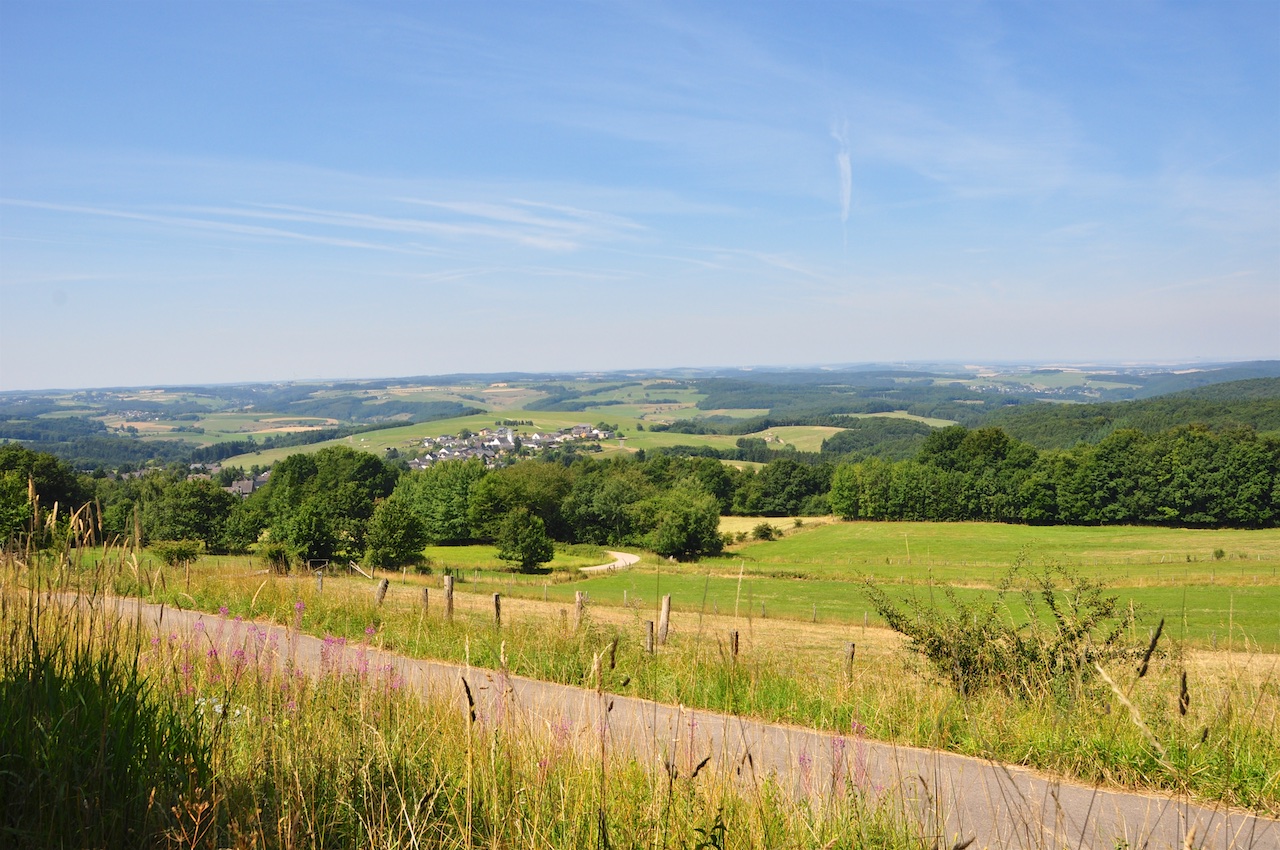 Michelsberg (Eifel) | GPS Wanderatlas