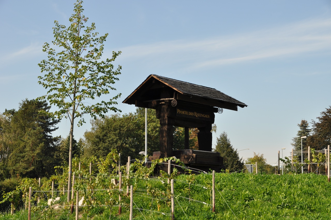 Die 5 schönsten Rundwandertouren zwischen Schlangenbad und Walluf | GPS ...