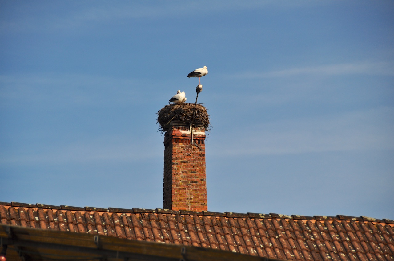 Lindheim (Altenstadt) | GPS Wanderatlas