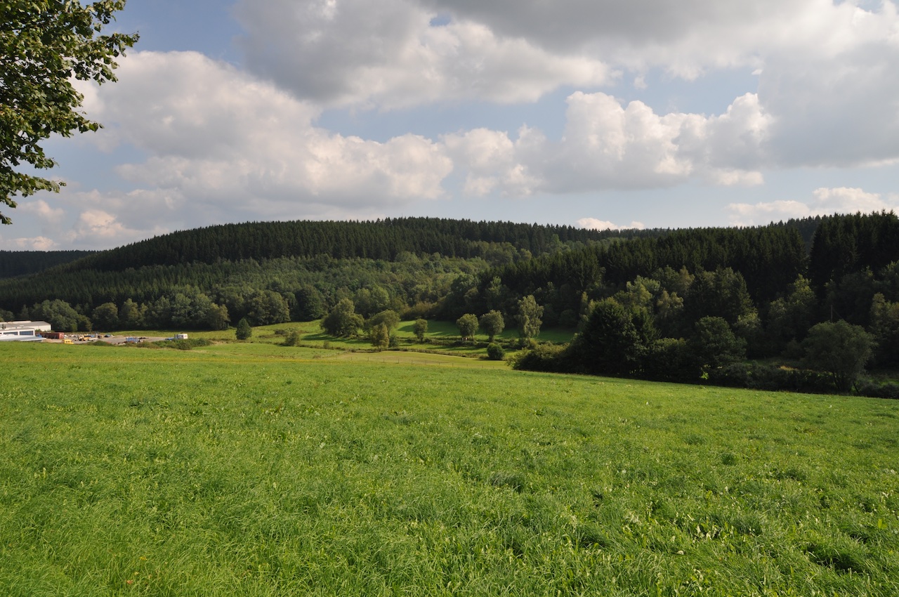 Rahrbacher Höhe | GPS Wanderatlas