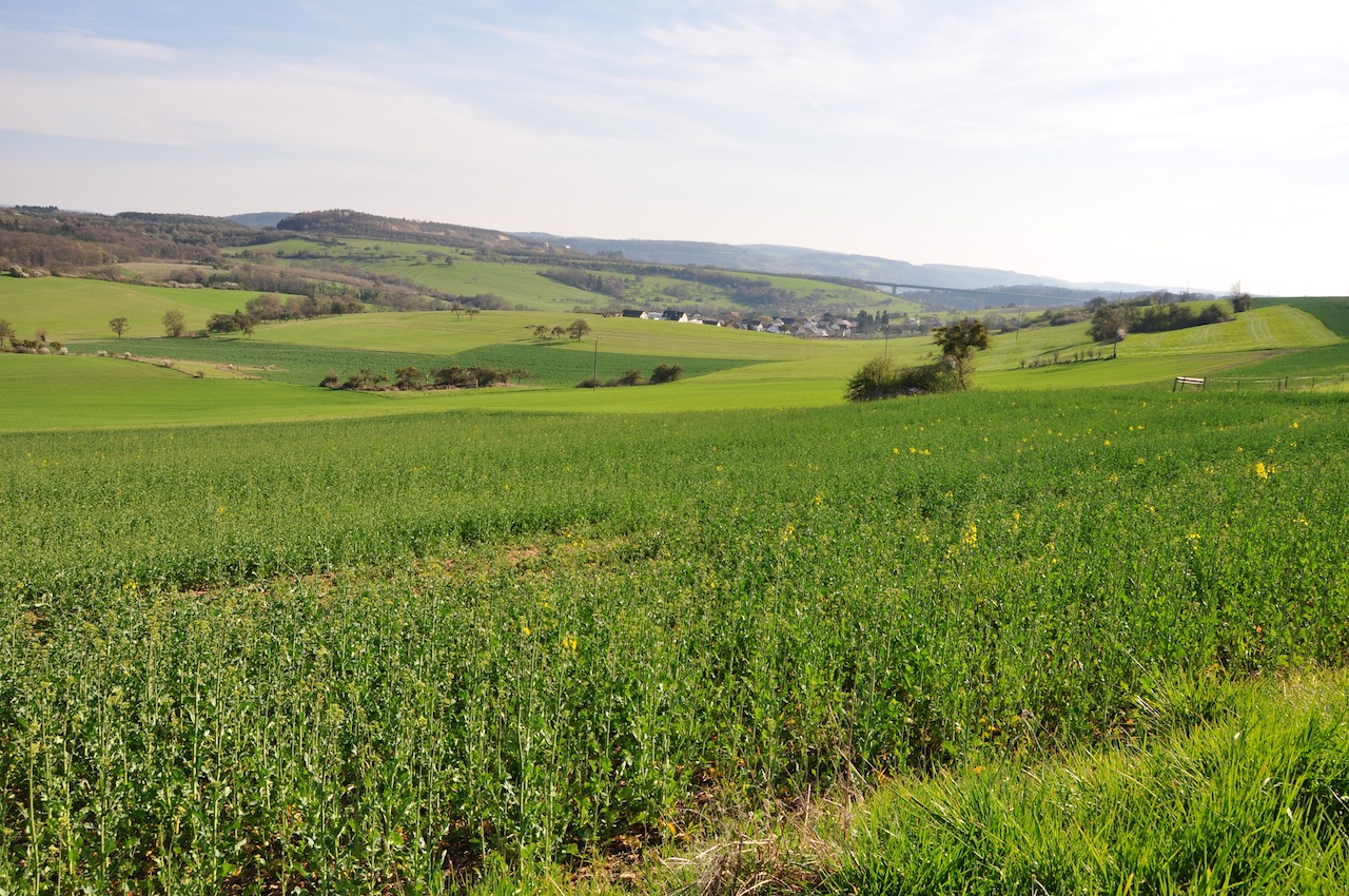 Trierweiler | GPS Wanderatlas