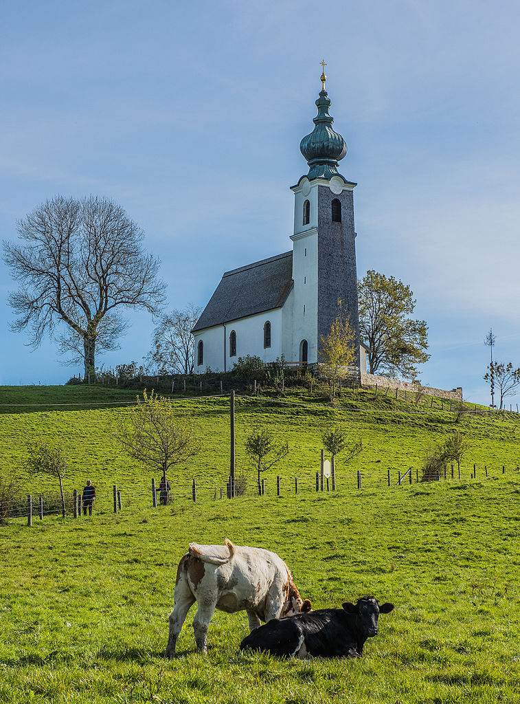 Högler Rundweg zur Stroblalm und zum Johannishögl im Rupertiwinkel ...