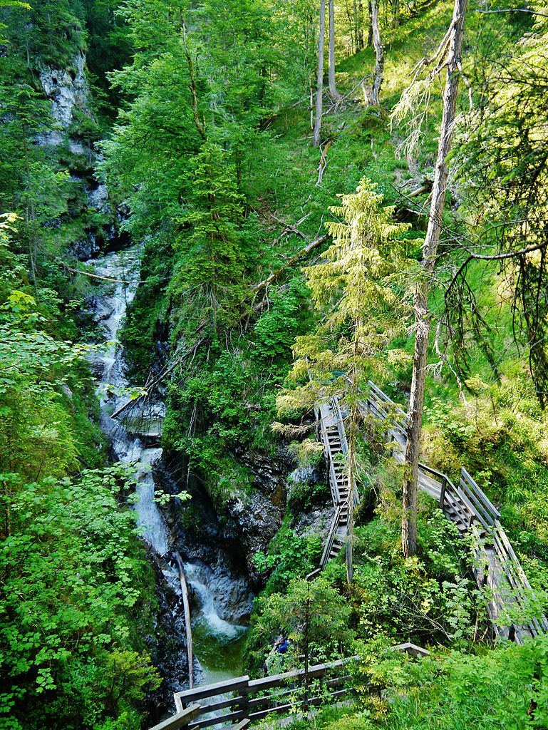 Vorderkaserklamm-Wanderung (von der Lamprechtshöhle aus) | GPS Wanderatlas