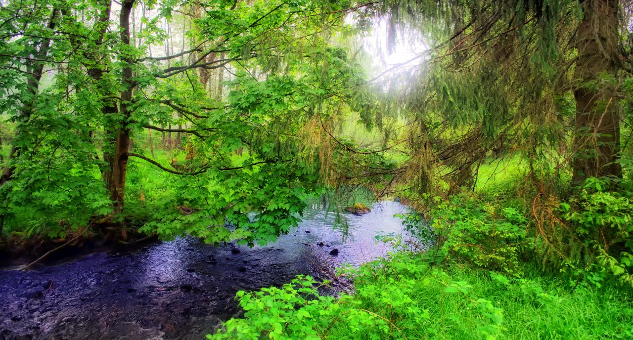 Sebnitz Runde zum Wolfsstein (Sächsische Schweiz) | GPS Wanderatlas