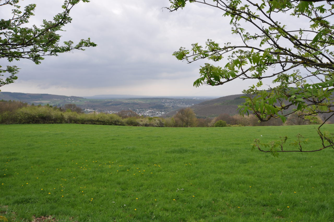 Bergstein (Hürtgenwald) | GPS Wanderatlas