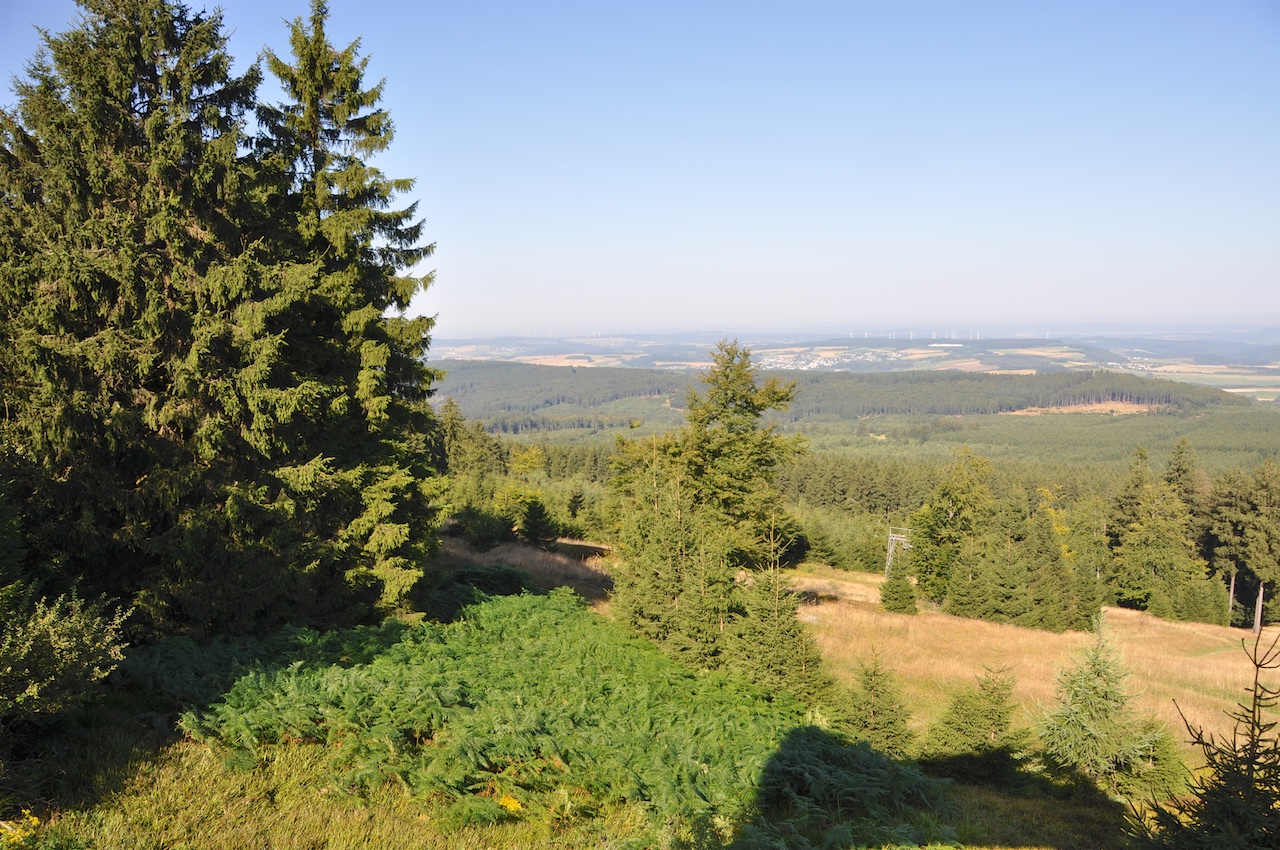 Erbeskopf | GPS Wanderatlas