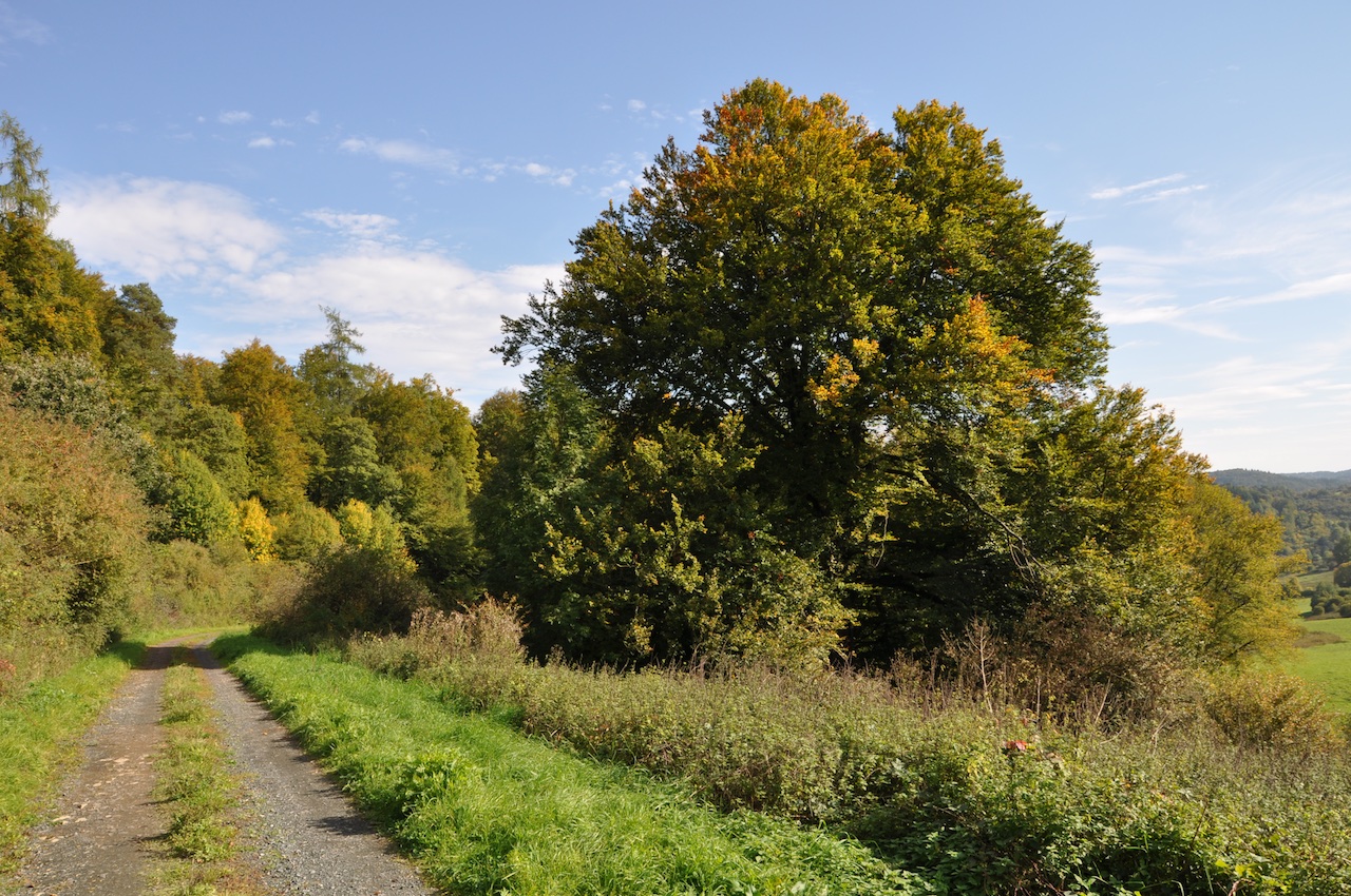 Hessen-Extratouren | GPS Wanderatlas