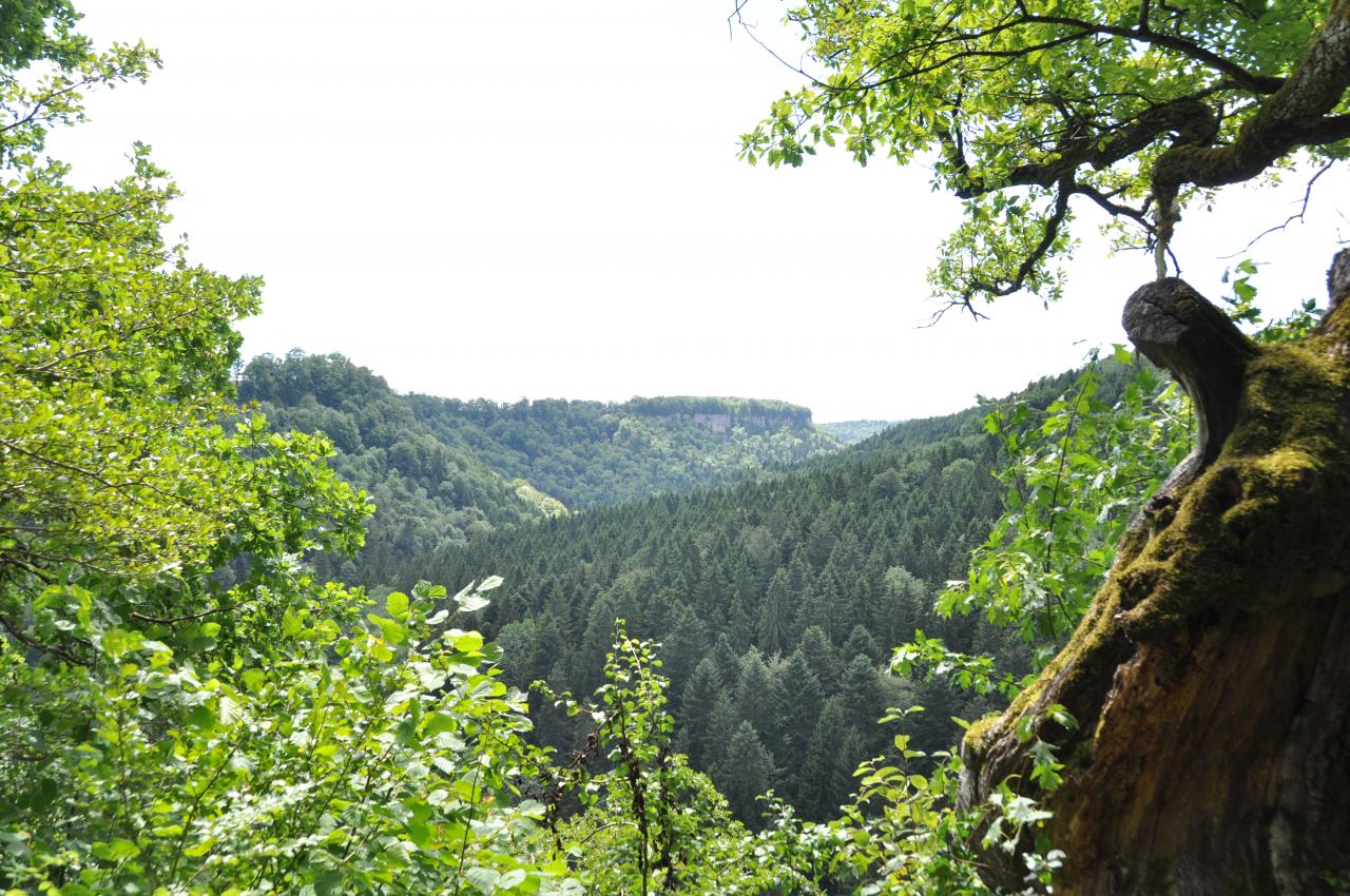 Schwarzwald-Baar-Kreis | GPS Wanderatlas Schwarzwald-Baar-Kreis | GPS Wanderatlas