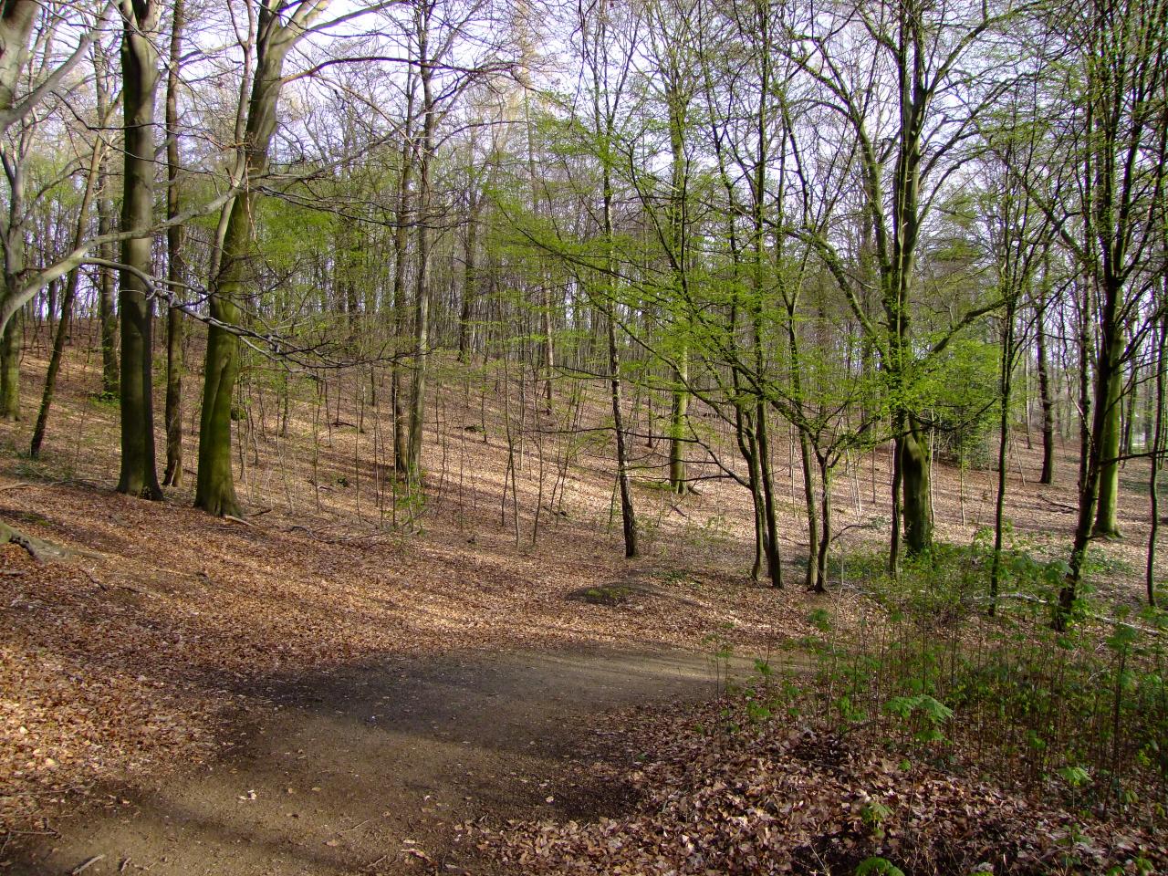 Rundwanderung in den Aaper Wald (Düsseldorf) | GPS Wanderatlas