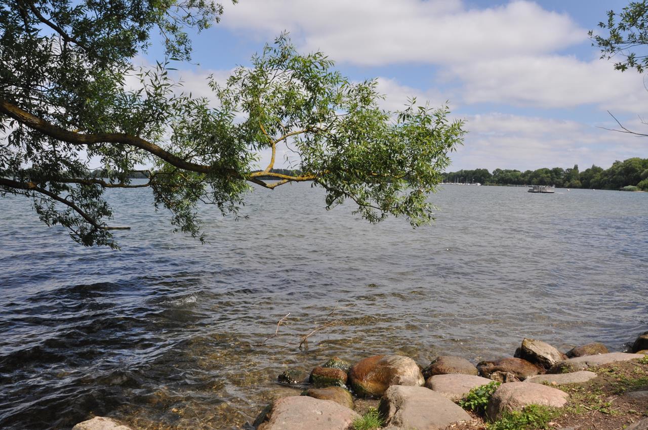 Rundtour am Tollensesee mit Aussichtsturm Behmshöhe und Chimborazo ...