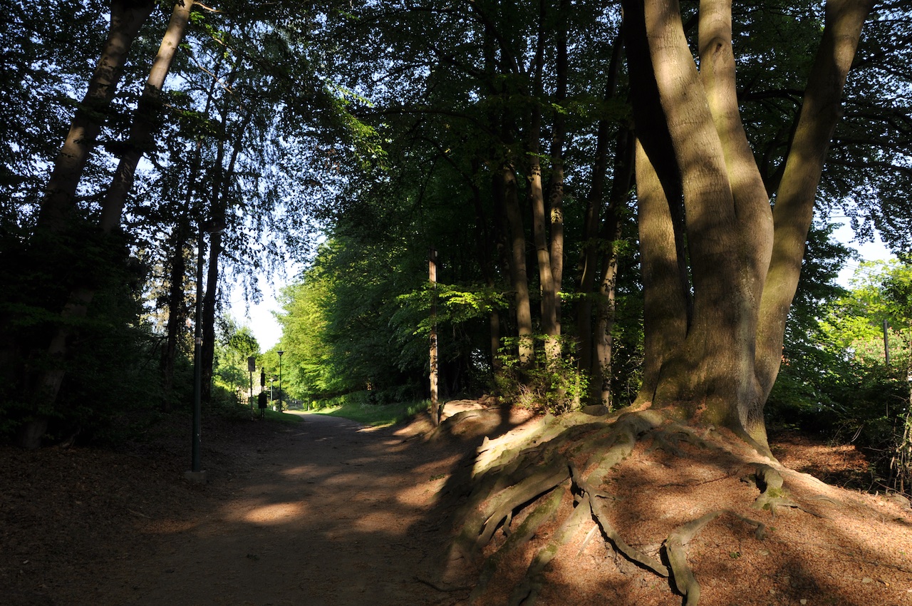 Rheinsteig Etappe 16 Rengsdorf - Leutesdorf | GPS Wanderatlas