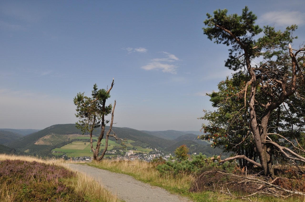 Wandern in Willingen: Die 5 schönsten Rundtouren im Sauerländer Upland ...