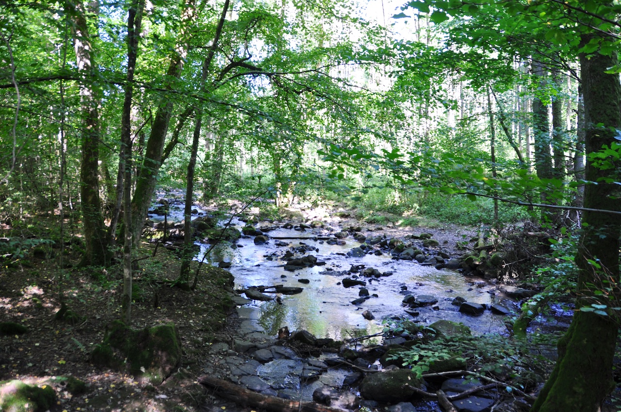 Wanderausflug in den Westerwald: Sehenswürdigkeiten und Ausflugsziele ...