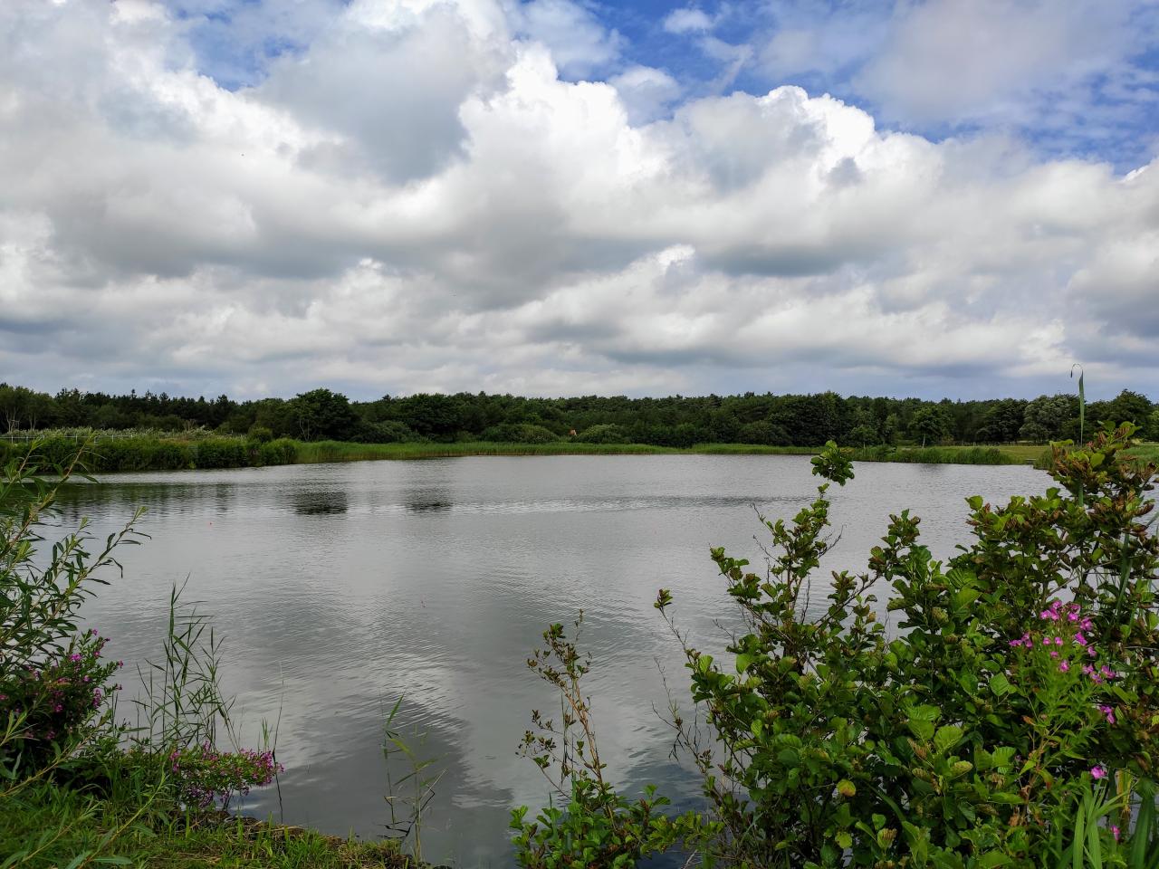 Ameland Nes Bosch | GPS Wanderatlas