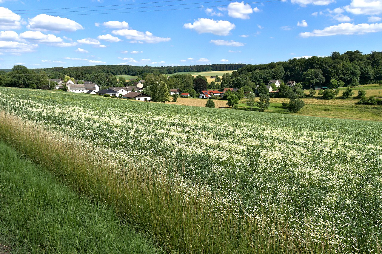 Wandern im Puderbacher Land (Naturpark Rhein-Westerwald) | GPS Wanderatlas