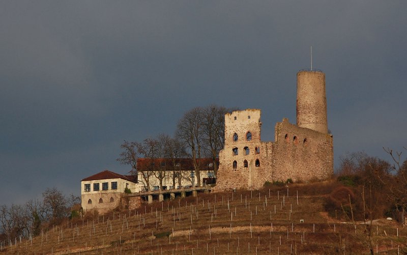 Burgensteig Bergstraße Etappe 5 Schriesheim – Heidelberg | GPS Wanderatlas