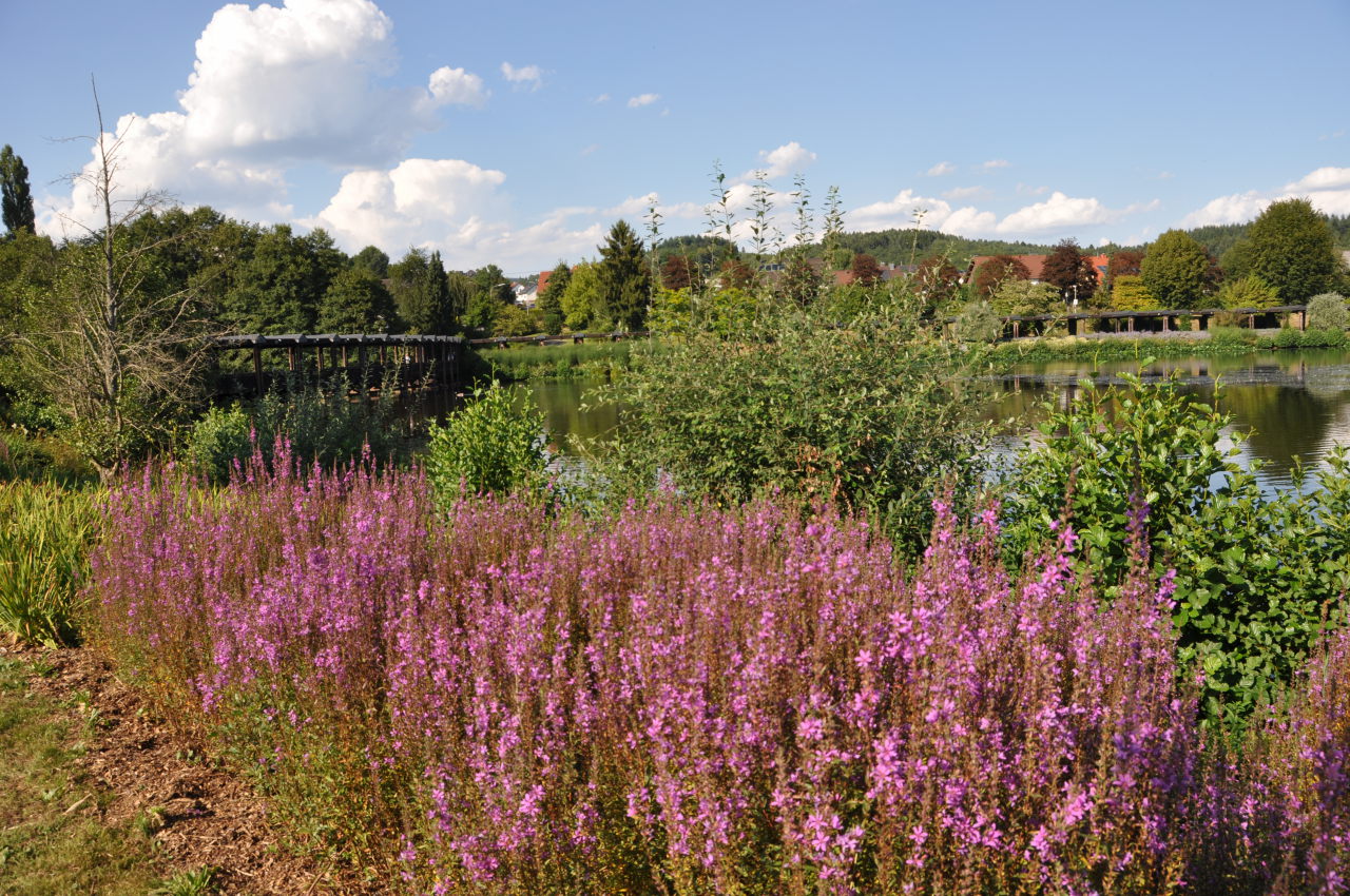 Weiskirchen | GPS Wanderatlas