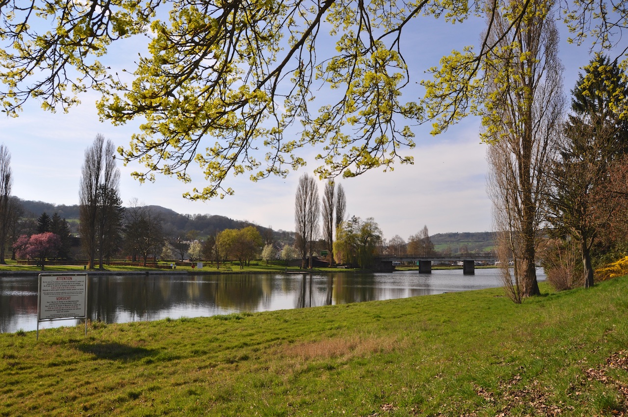 Felsenweg 4: Durchs Sauertal bei Ralingen und Rosport | GPS Wanderatlas