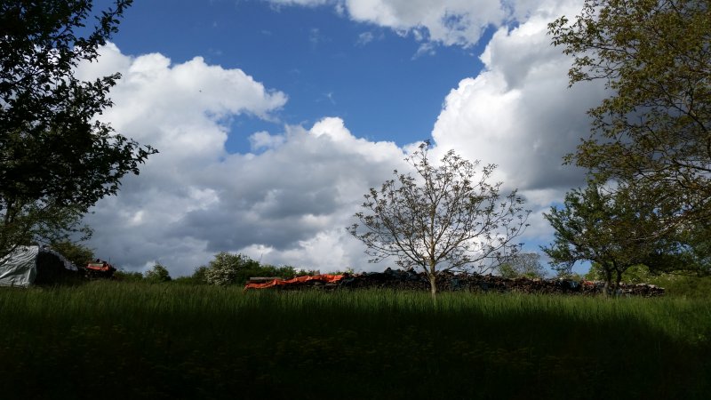Goldstadttour: Das Ranntal und die Weinberge von Ellmendingen und ...