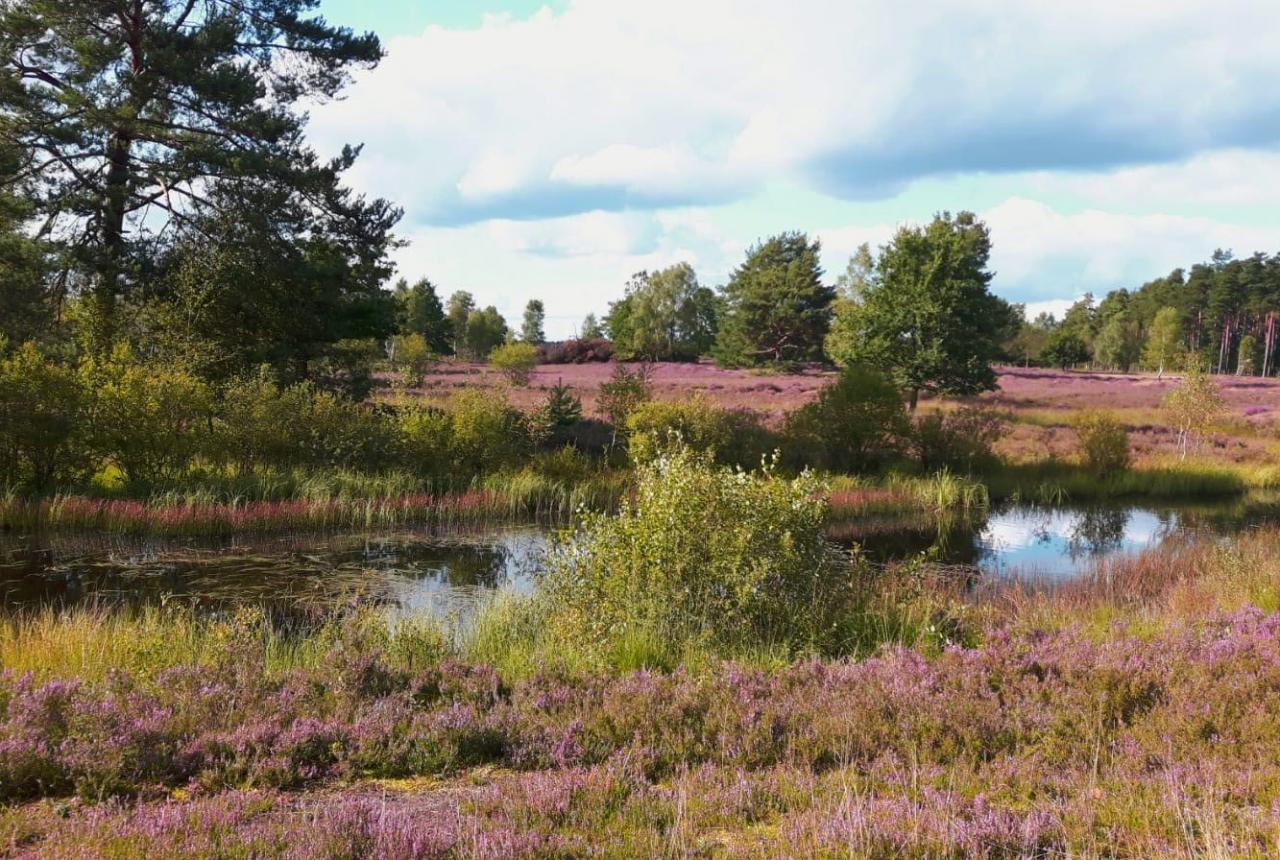 Brunausee und Behringer Heide Rundwanderung | GPS Wanderatlas