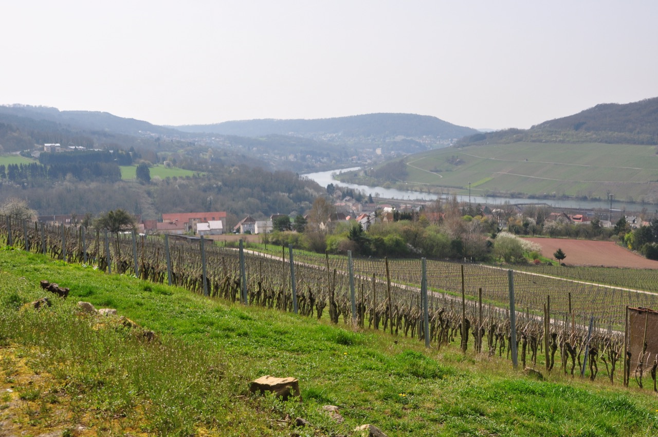 Perl (Mosel) | GPS Wanderatlas
