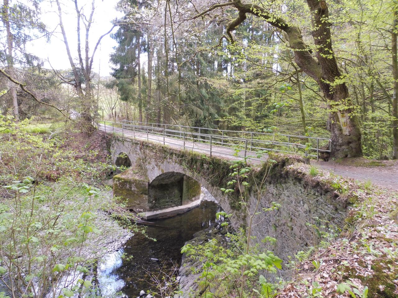 LIMBACHER RUNDE 36: Tal der Großen Nister-Highlights | GPS Wanderatlas