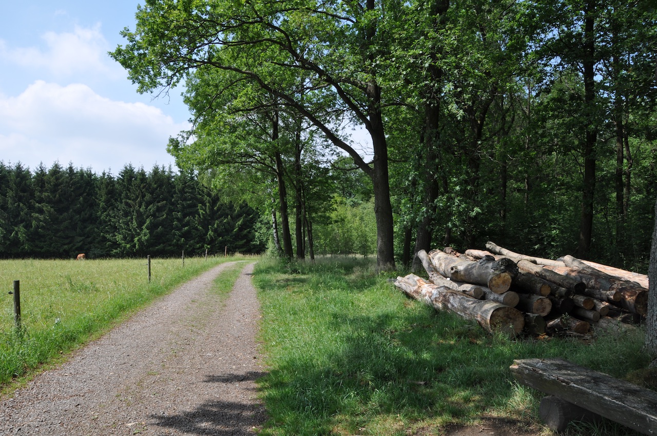 Wandern in Halver: Das sind die 5 schönsten Rundtouren | GPS Wanderatlas