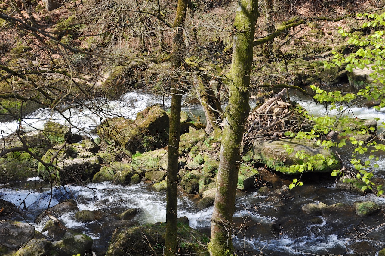 Irrel | GPS Wanderatlas