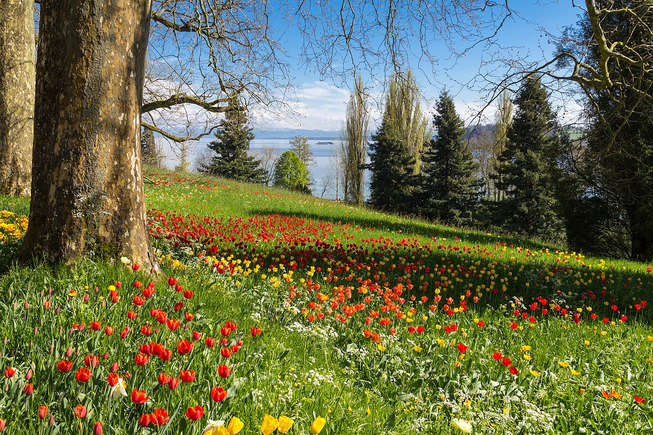 Insel Mainau: Rundtour über die Blumeninsel im Bodensee | GPS Wanderatlas