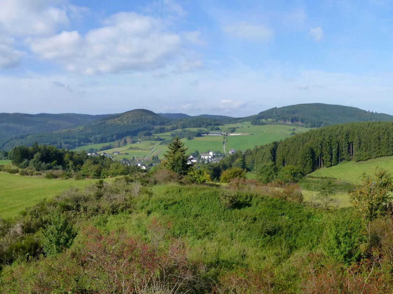 Naturweg Liesetal in Hallenberg-Liesen | GPS Wanderatlas